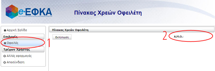 ΚΕΑΟ: Τί είναι ο Αριθμός Μητρώου Οφειλέτη (ΑΜΟ) και πώς τον βρίσκω online; - CROC.gr